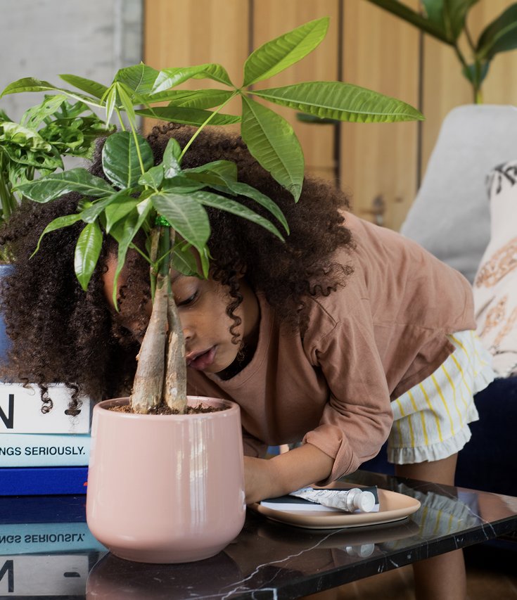 How to Use A Self-Watering Pot | easyplant