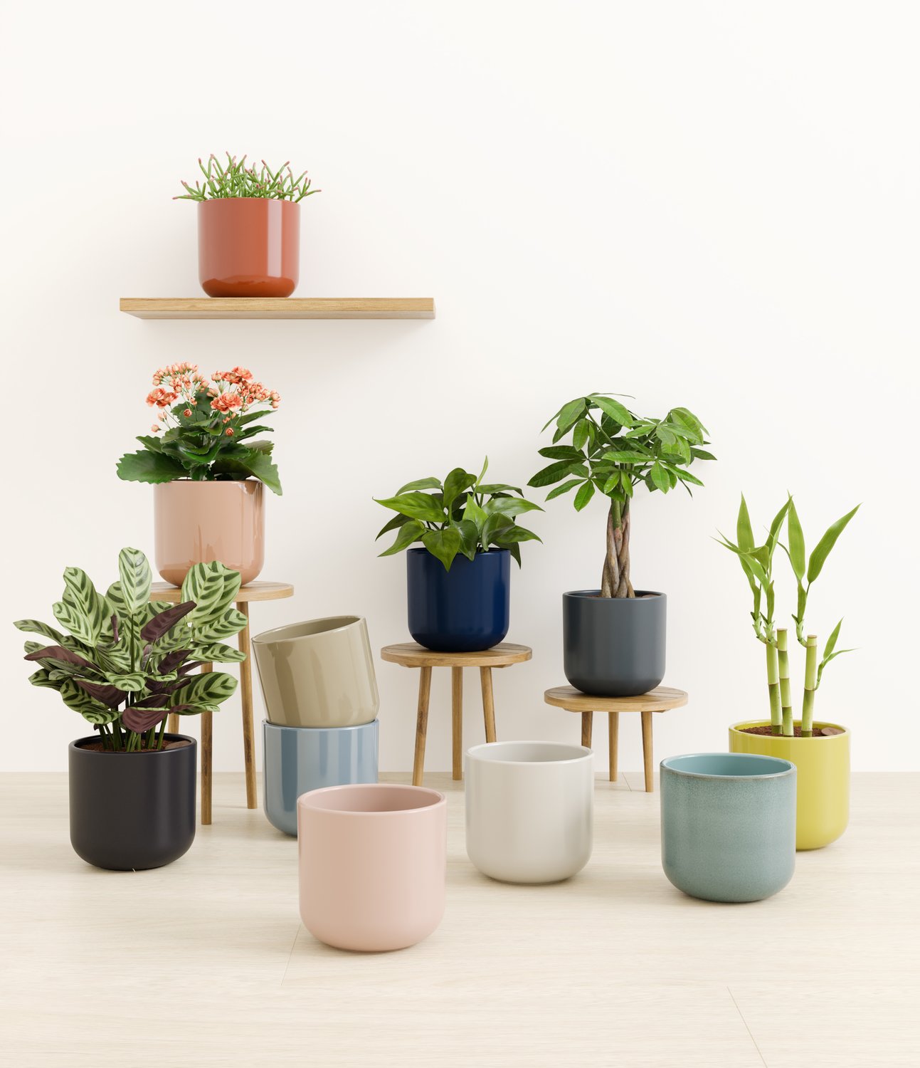 Types of Planters and How to Choose the Right One | easyplant