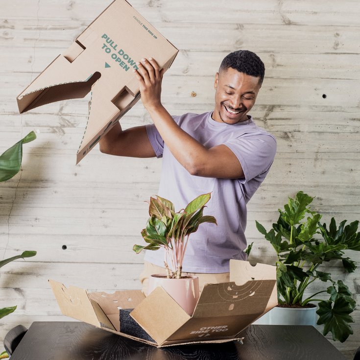 How to Use A Self-Watering Pot | easyplant