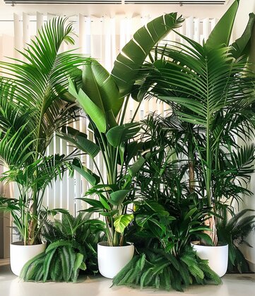 2025 Interior Design Trends That Are Plant-Centered | easyplant