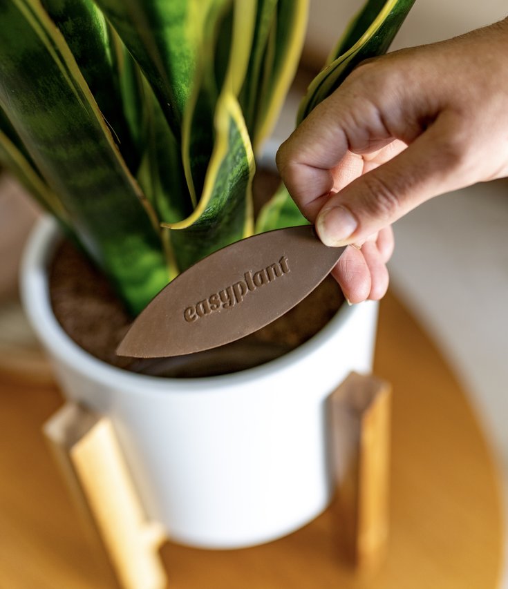 How to Use A Self-Watering Pot | easyplant