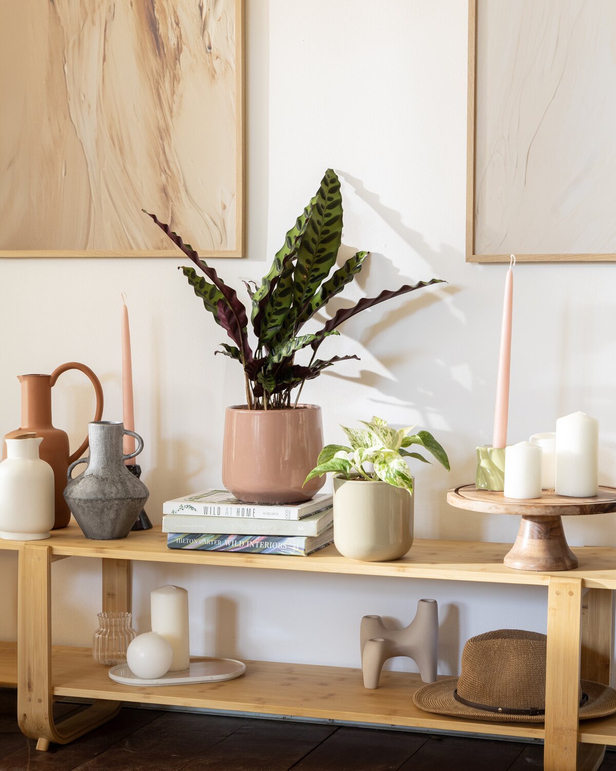 Self-Watering Plants 101: Your Guide to Effortless Plant Care
