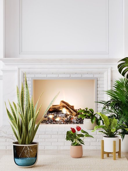 easyplant: Easy-Care Self-Watering Plants