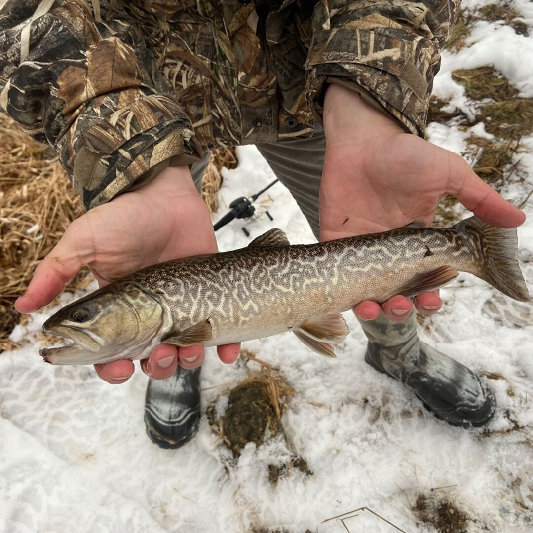 Plans & Pricing | Mystery Tackle Box