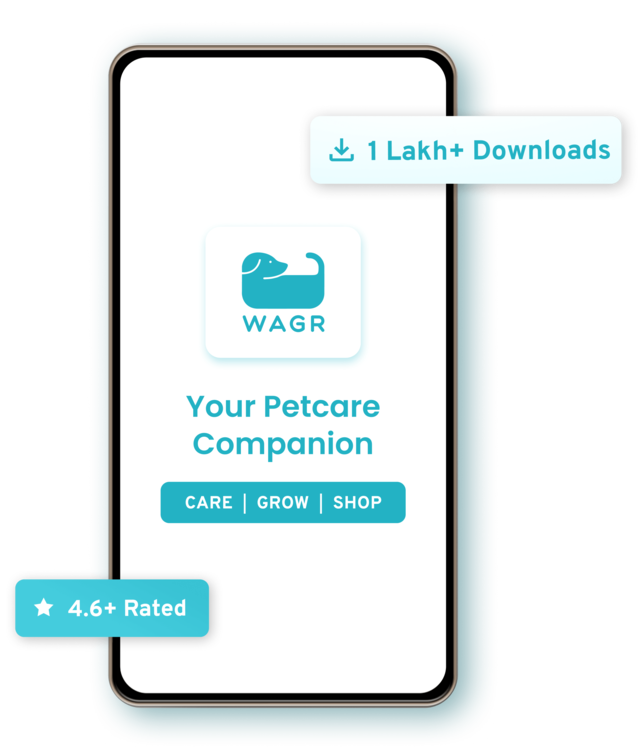 App – Wagr Petcare
