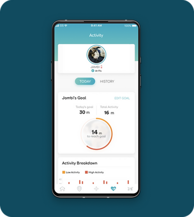 Pet GPS & Fitness Tracker by Wagr - The Smart Petcare Platform – Wagr ...