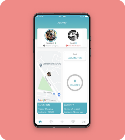 Pet GPS & Fitness Tracker by Wagr - The Smart Petcare Platform – Wagr ...