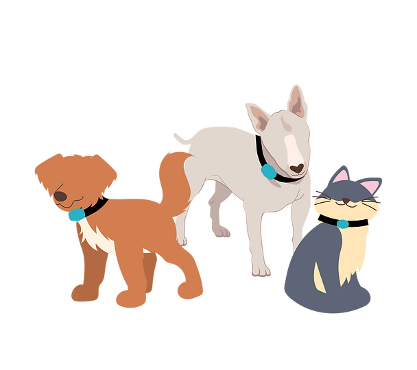 Pet GPS & Fitness Tracker by Wagr - The Smart Petcare Platform – Wagr ...