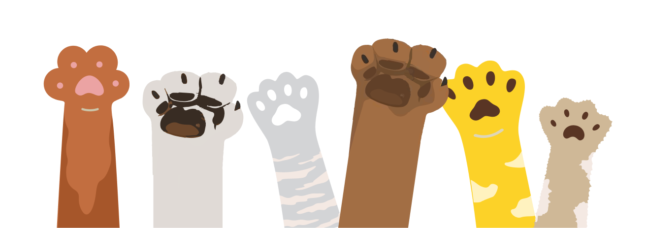 Pet GPS & Fitness Tracker by Wagr - The Smart Petcare Platform – Wagr ...