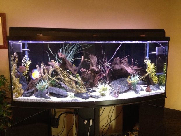 Aquariums – Deep Sea Creations