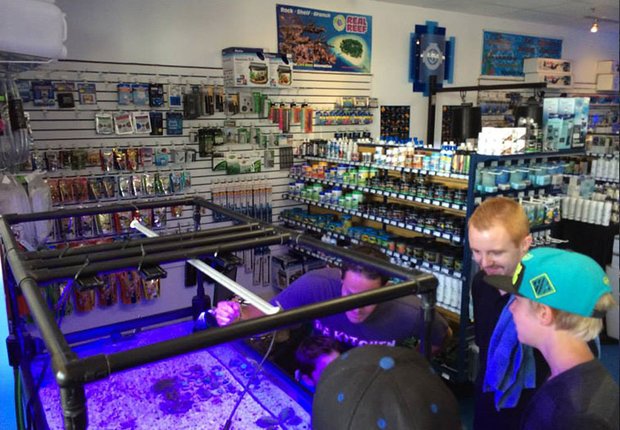 Our Store – Deep Sea Creations