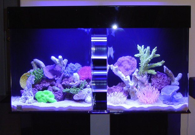 Aquariums – Deep Sea Creations