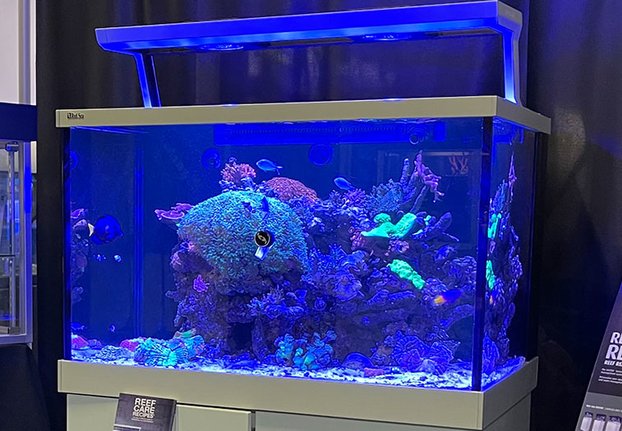 Aquariums – Deep Sea Creations