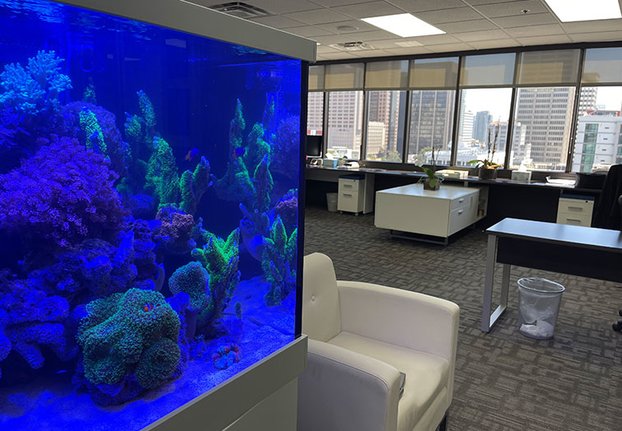 Aquariums – Deep Sea Creations