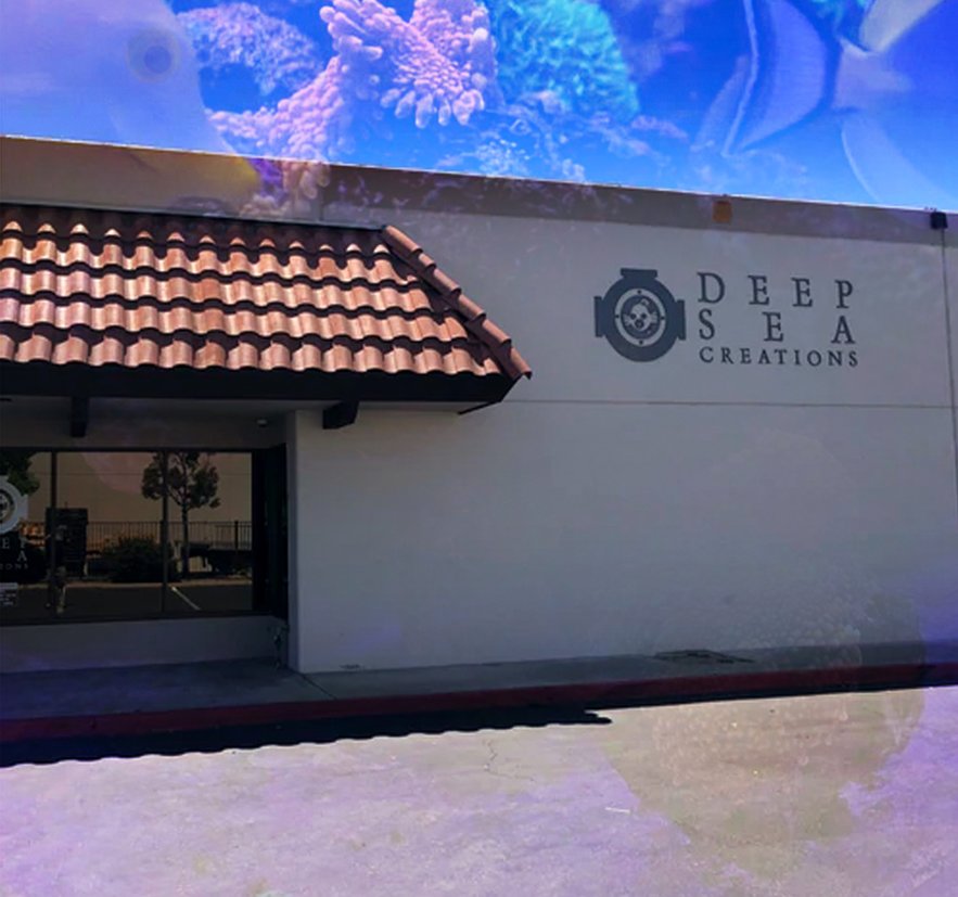 Deep Sea Creations