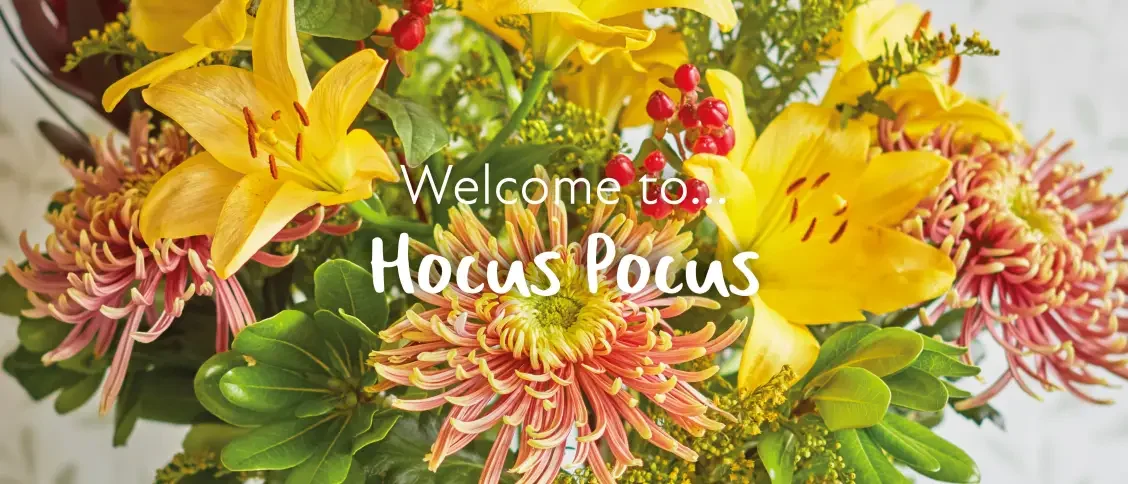 Hocus Pocus: Everything you need to know - Freddie's Flowers