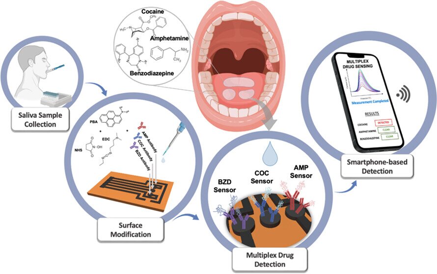 Antibody-based sensors for multiplex point-of-care drug monitoring ...
