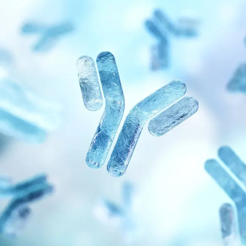 Beyond mAbs: The Unrealized Potential of VHH Antibodies