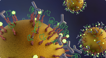 LFA Antibodies & Antigens | Fortis Life Sciences
