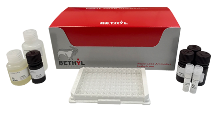ELISA Kits & Accessories | Fortis Life Sciences