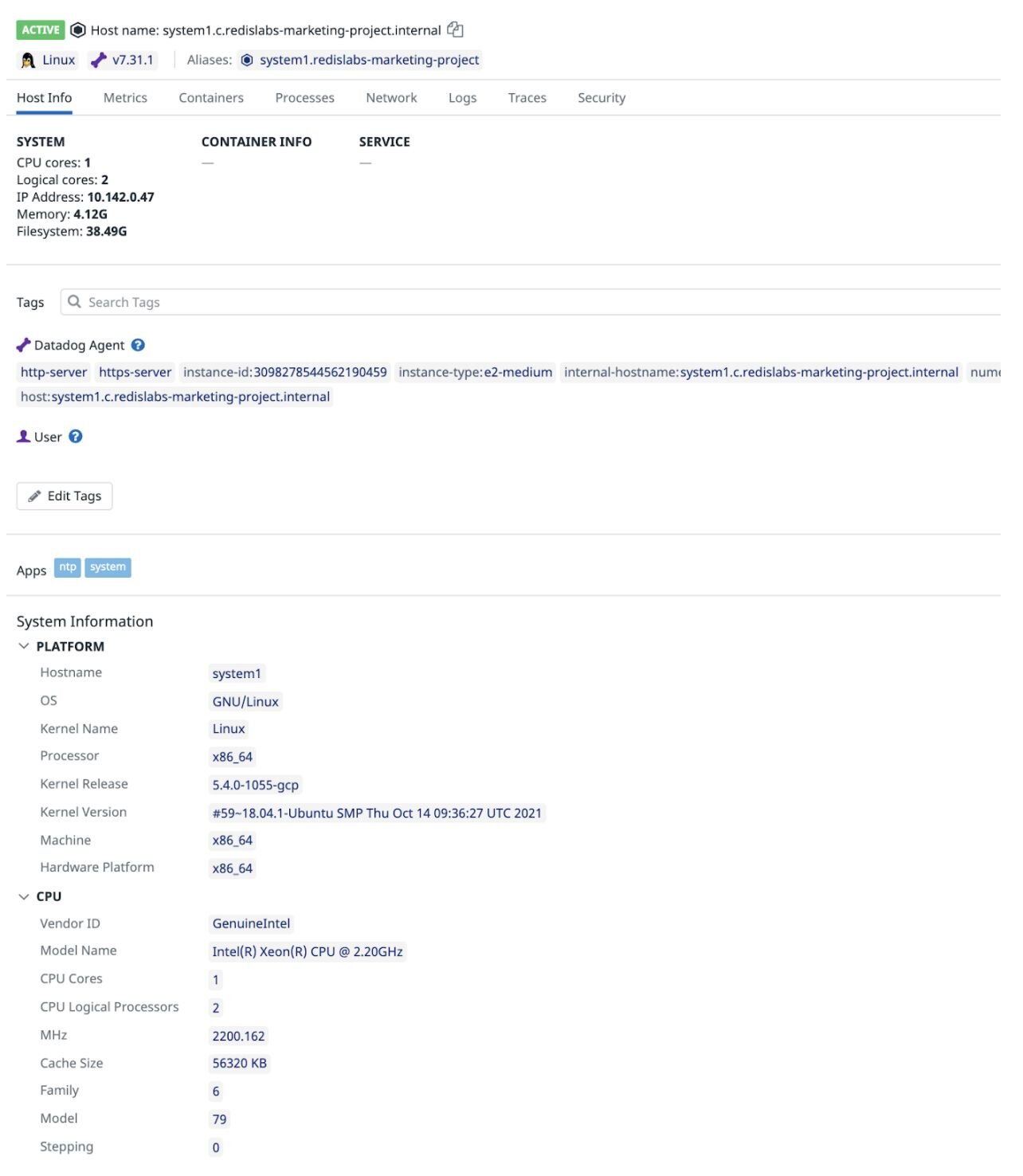 Datadog dashboard displaying host metrics of the 1st host (CPU, Memory Usage, Load Average etc):