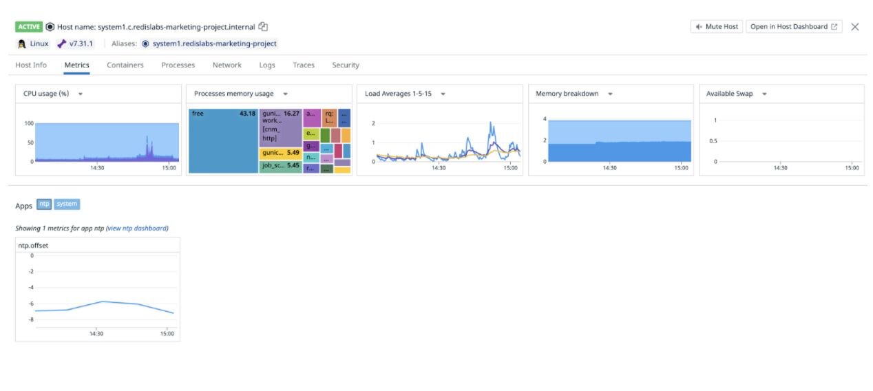 Datadog dashboard displaying host metrics of the 2nd host: