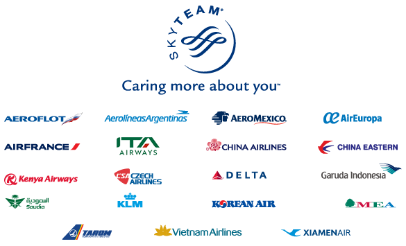 Ultimate Guide To Air France/KLM Flying Blue - Roame