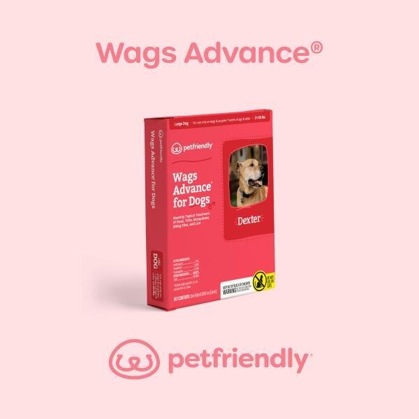 Topical Flea & Tick Prevention for Dogs | Wags Advance® - PetFriendly Box