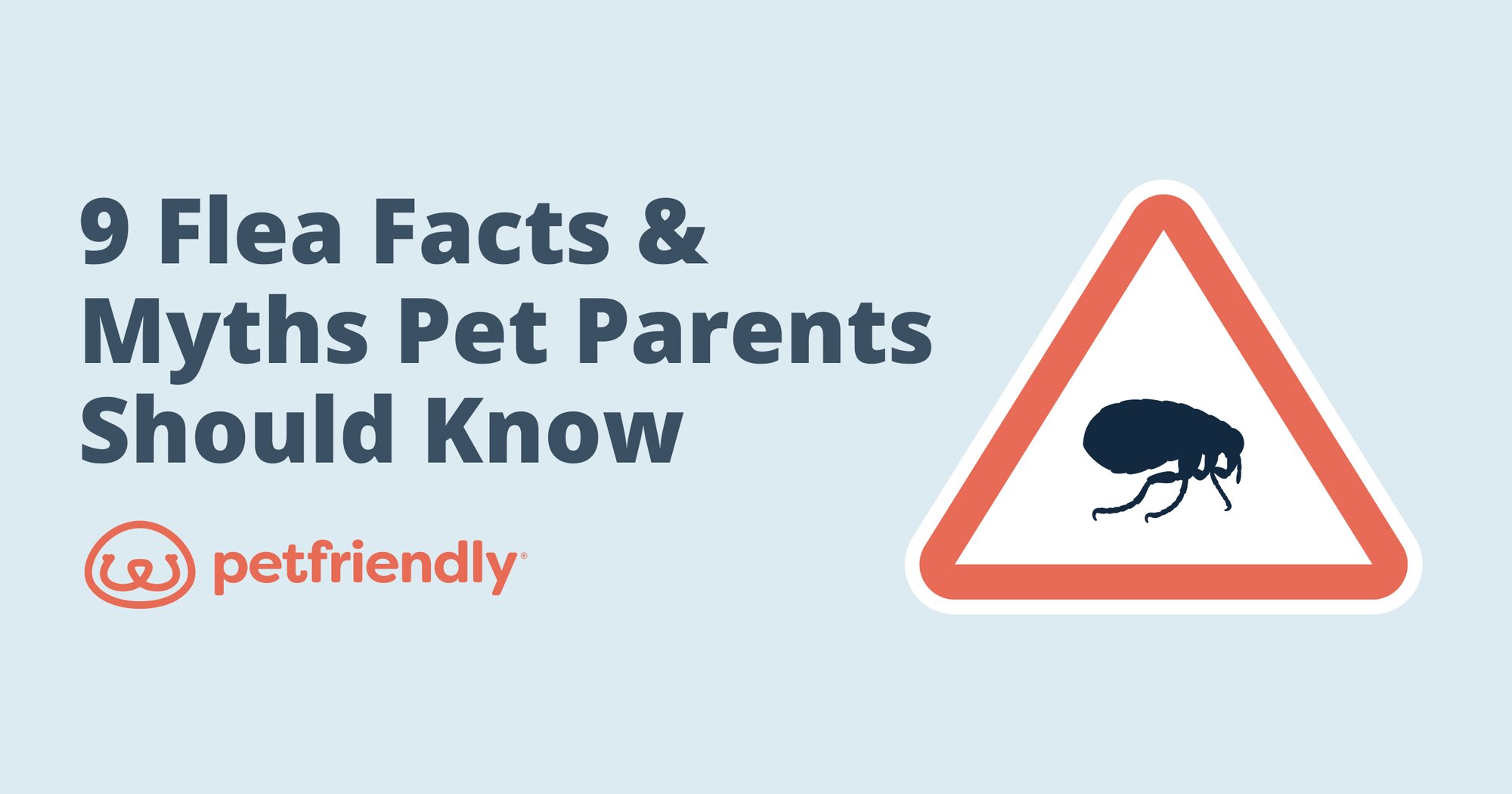 9 Flea Facts and Myths Pet Parents Should Know - PetFriendly Box