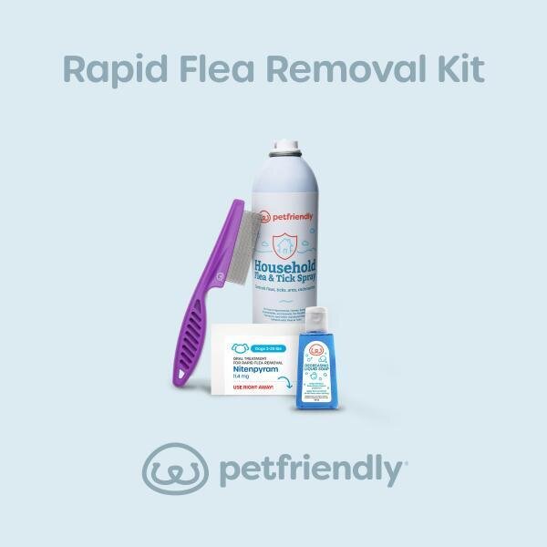 Rapid Flea Removal Kit for Cats | Flea Pest Control for Cats ...