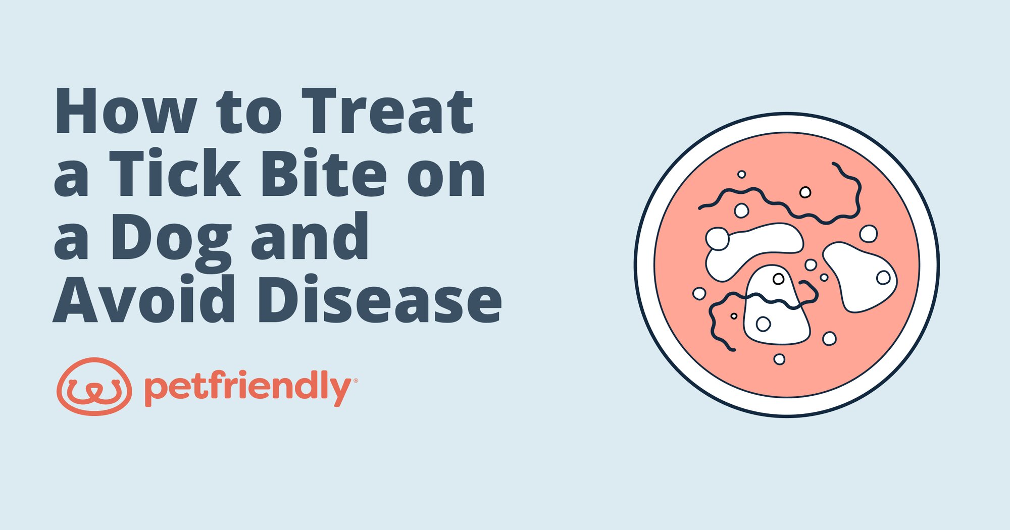 How to Treat a Tick Bite on a Dog and Avoid Disease - PetFriendly Box