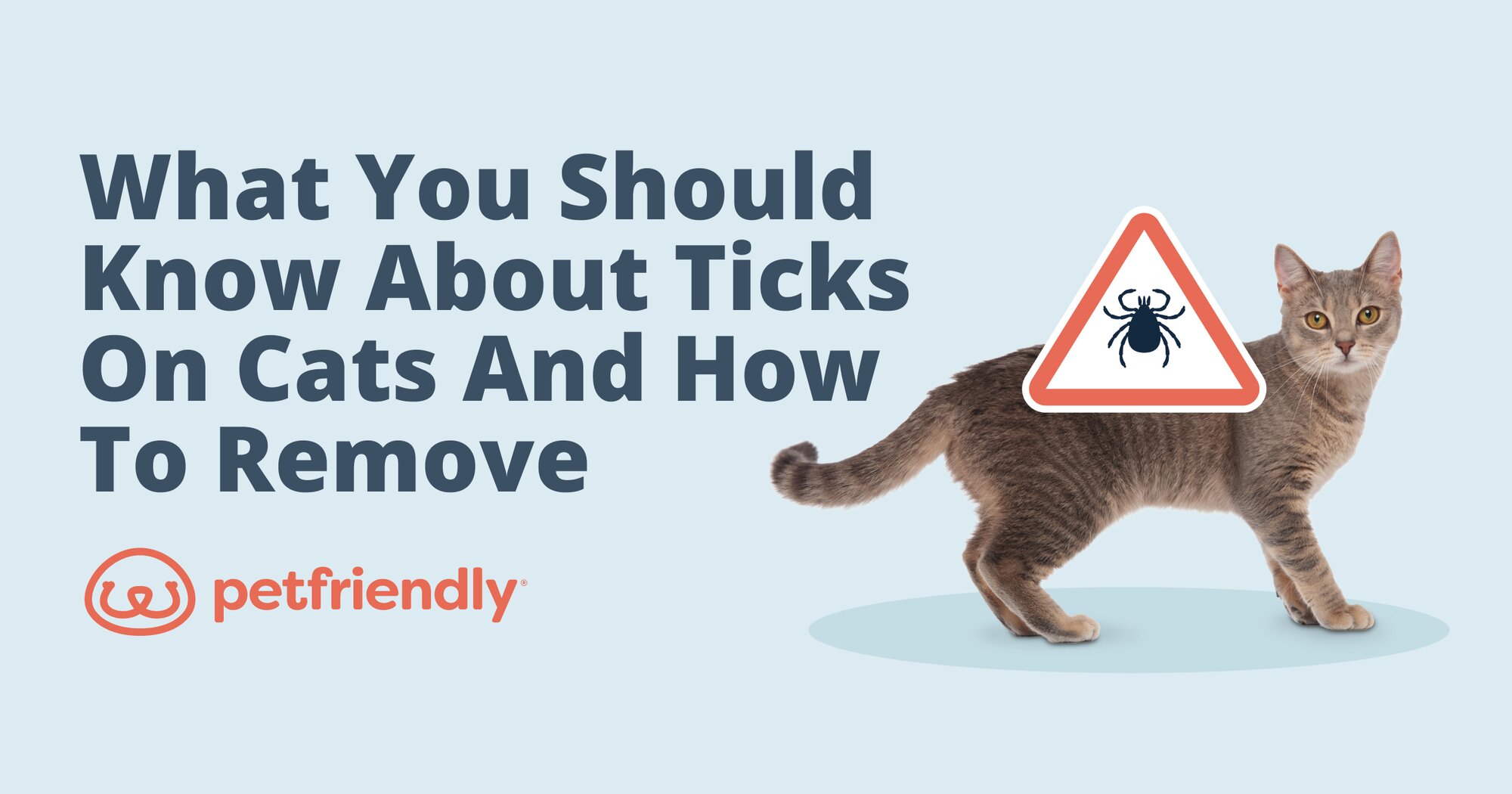 What You Should Know About Ticks on Cats and How to Remove ...