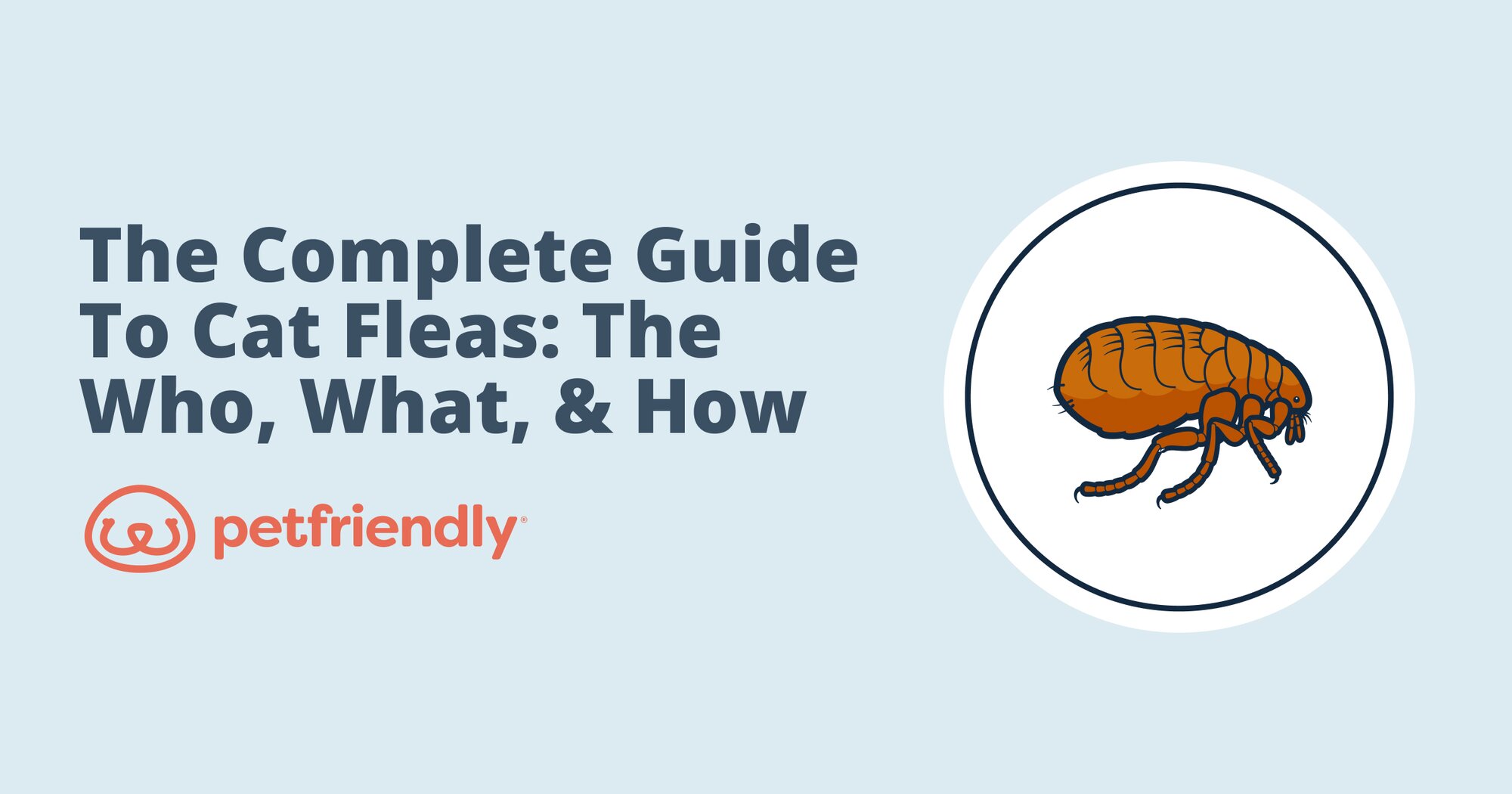 The Complete Guide to Cat Fleas: The Who, What, and How - PetFriendly Box