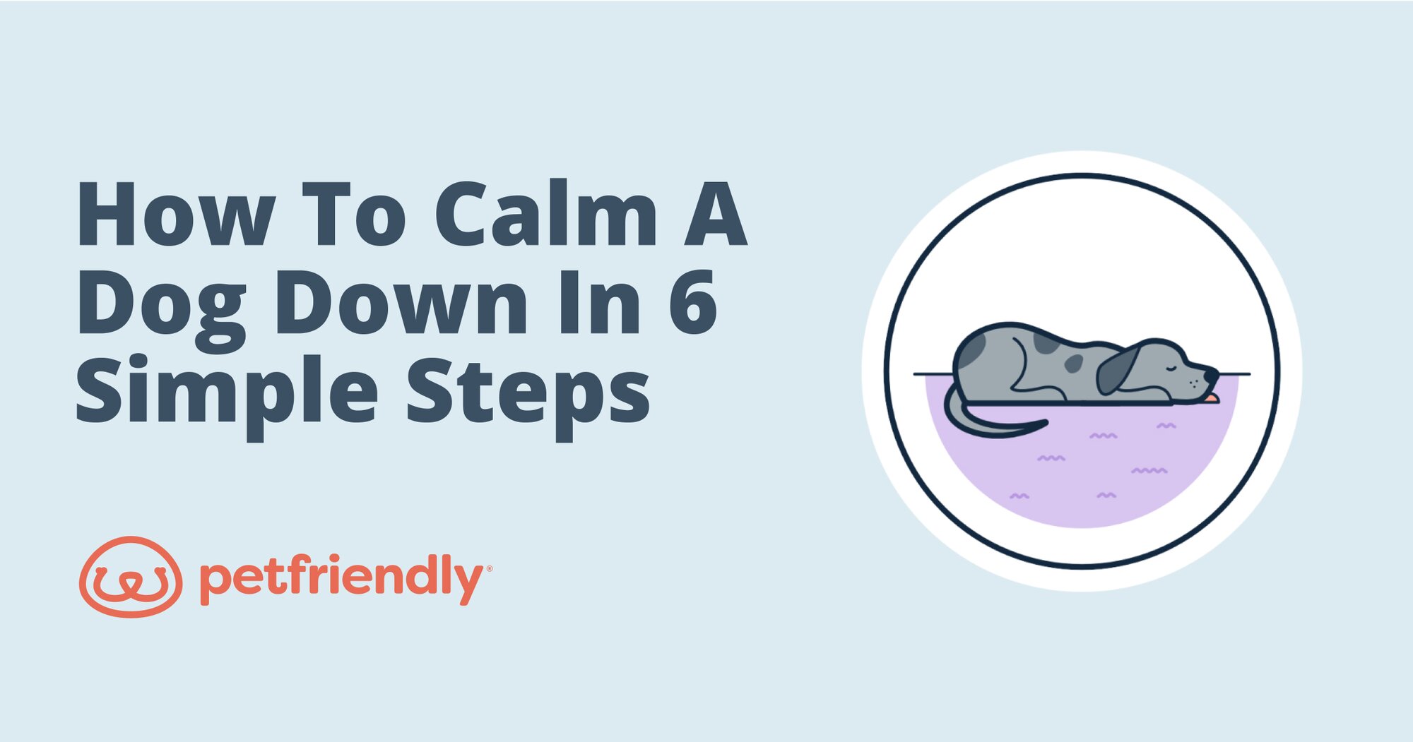 How to Calm a Dog Down in 6 Simple Steps - PetFriendly Box