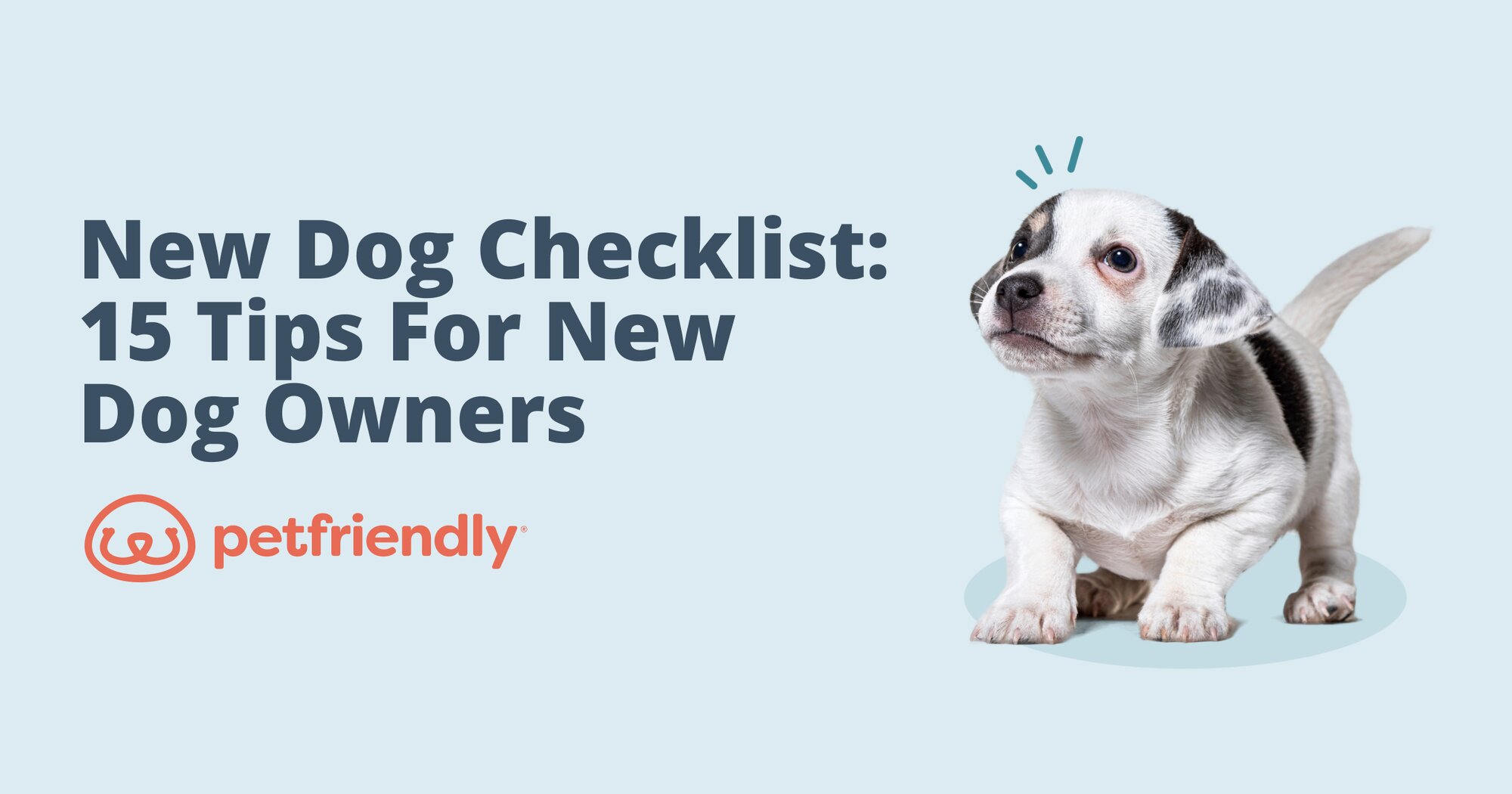 New Dog Checklist: 15 Tips for New Dog Owners - PetFriendly Box