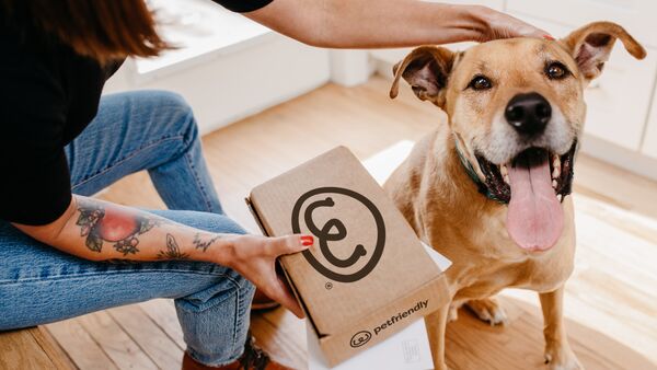 Topical Flea & Tick Prevention for Dogs | Wags Advance® - PetFriendly Box