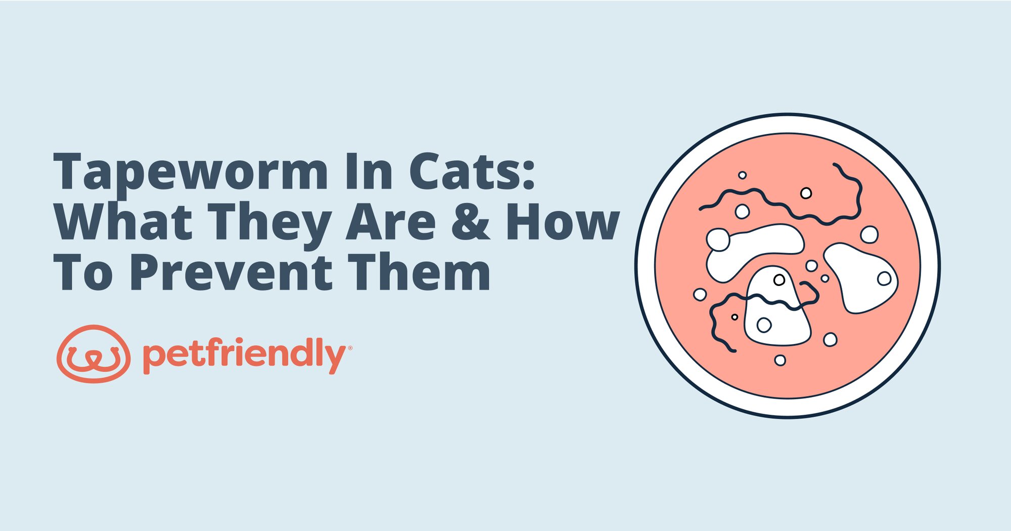Tapeworm in Cats: What They Are and How to Prevent Them - PetFriendly Box