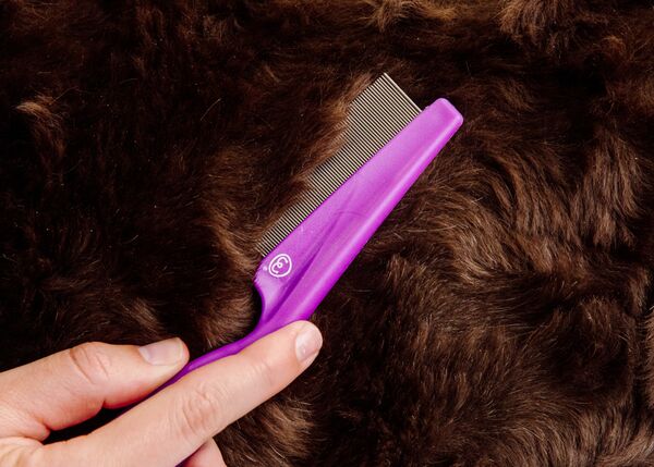 Flea Comb for Dogs and Cats - PetFriendly Box