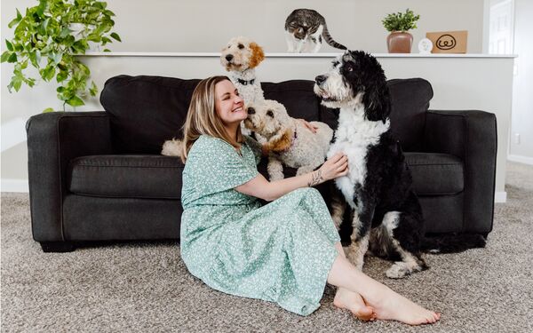 Mellow Out Pet Calming Kit | Diffuser and Spray for Pets - PetFriendly Box