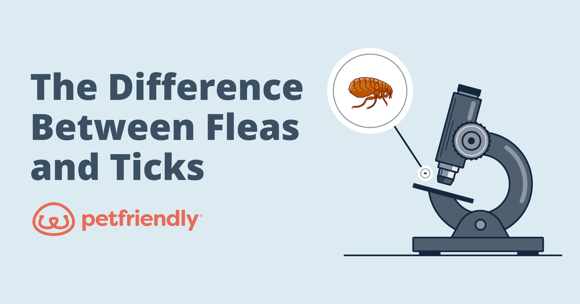 How to Tell the Difference Between Fleas and Ticks - PetFriendly Box