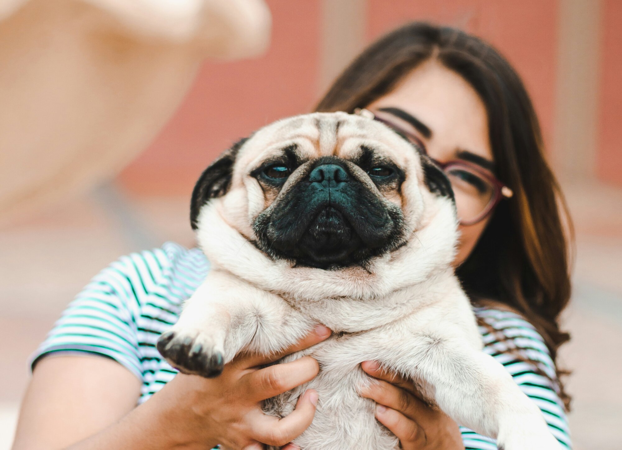 Can Humans Get Fleas From Dogs: 5 Signs of Fleas - PetFriendly Box