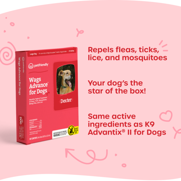 Topical Flea & Tick Prevention for Dogs | Wags Advance® - PetFriendly Box