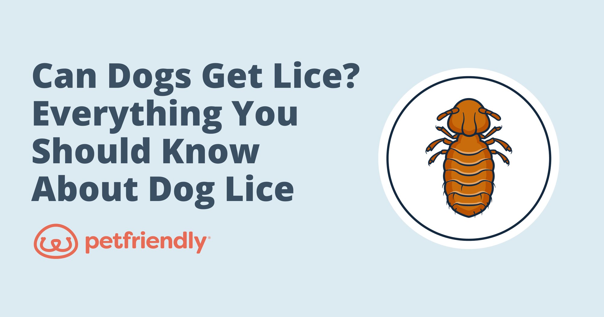 Can Dogs Get Lice? Everything You Should Know About Dog Lice ...
