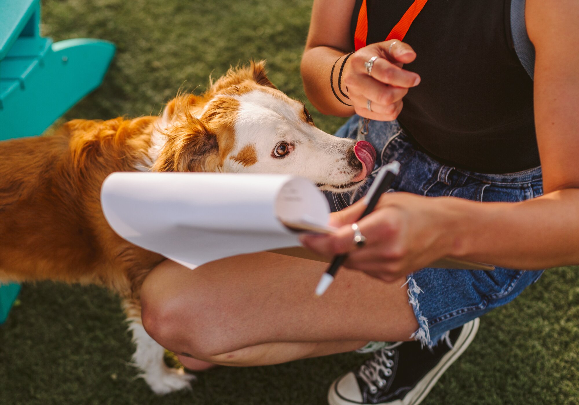 New Dog Checklist: 15 Tips for New Dog Owners - PetFriendly Box