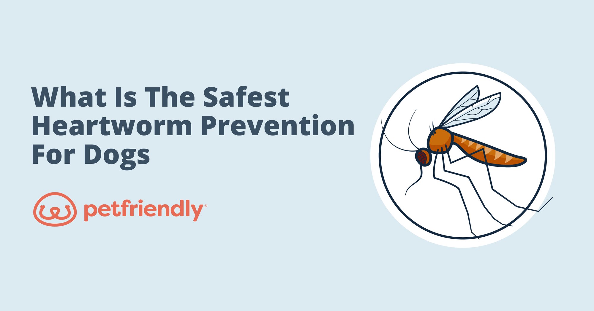 What is the Safest Heartworm Prevention for Dogs - PetFriendly Box