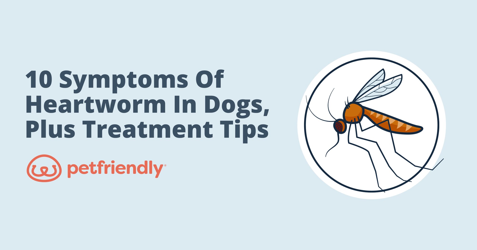 10 Symptoms of Heartworm in Dogs + Treatment Tips - PetFriendly Box