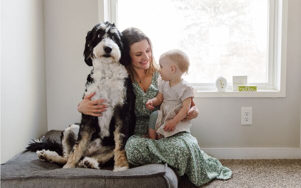Mellow Out Pet Calming Kit | Diffuser and Spray for Pets - PetFriendly Box