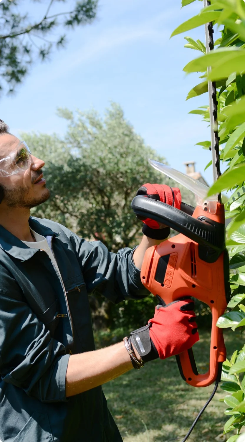 LZ Books - Small business accounting simplified | LegalZoom