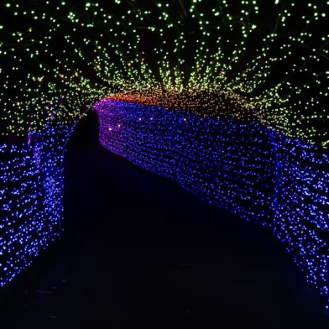 Luminate Light Trail: Interactive Wands | ULTRA LEDs