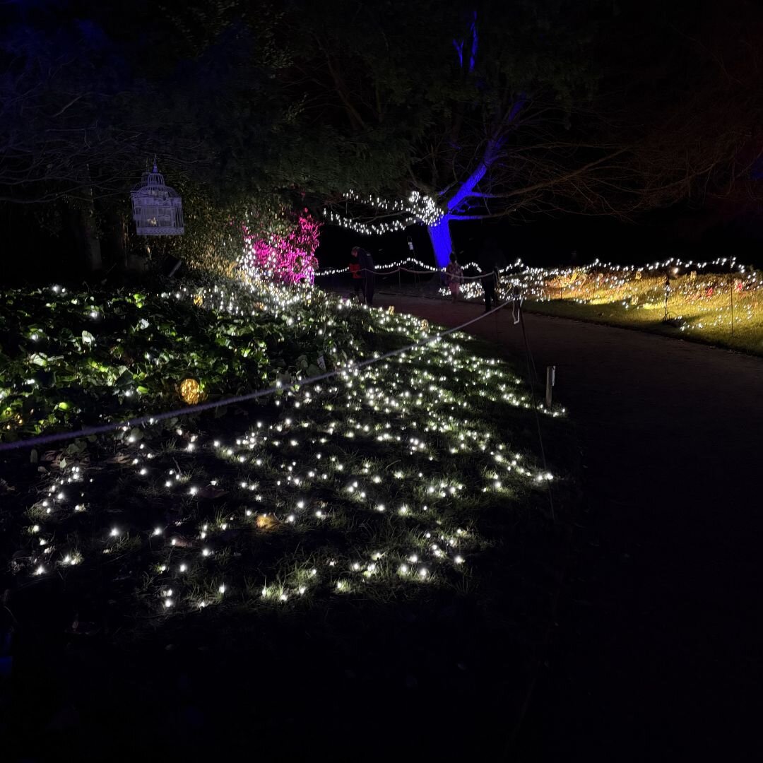 Luminate Light Trail: Interactive Wands | ULTRA LEDs